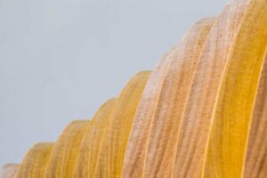 Seriation: Putting things in order