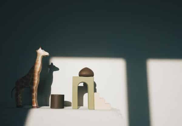 Light and shadow activities